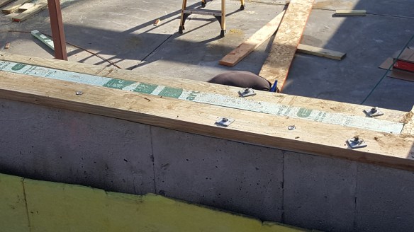 Sill plate | Our Net-Zero House