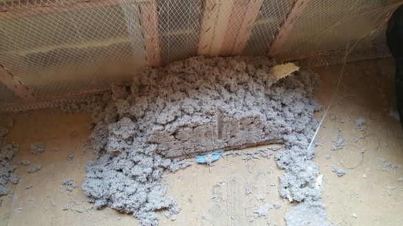 Insulation | Our Net-Zero House