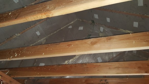 Insulation | Our Net-Zero House